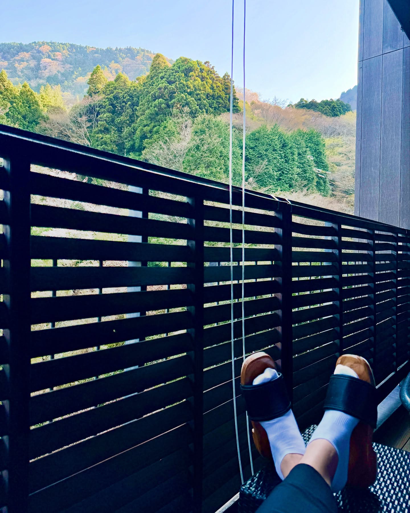 Hakone Travel Guide: A Scenic Ryokan Stay & Full Hakone Circuit
